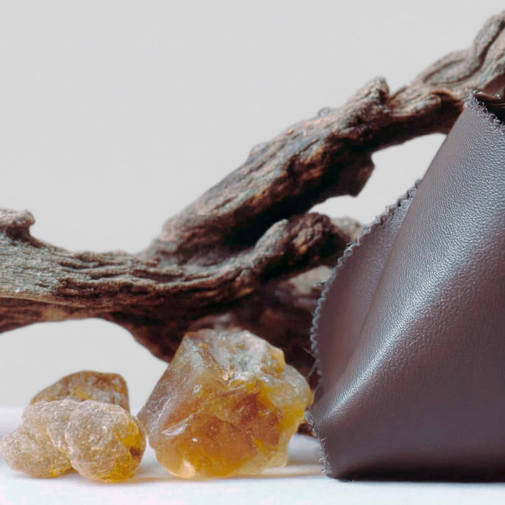 Oud & Leather Cereria Mollá 1899